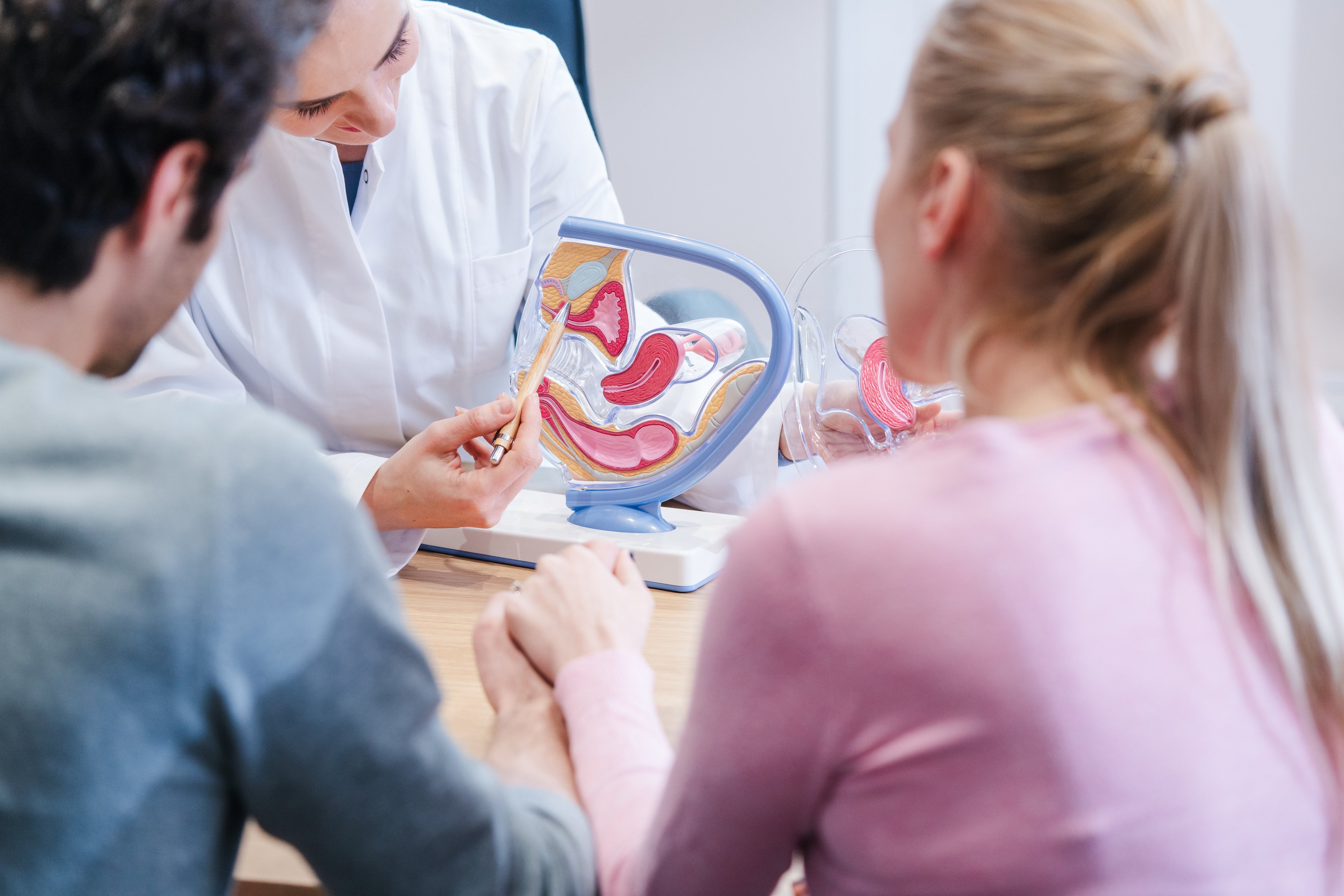 Female Fertility Test | Fertility Check-ups for Women in London