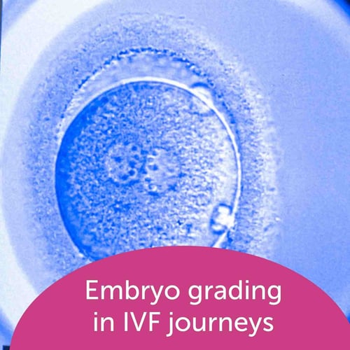 Decoding Embryo Grading